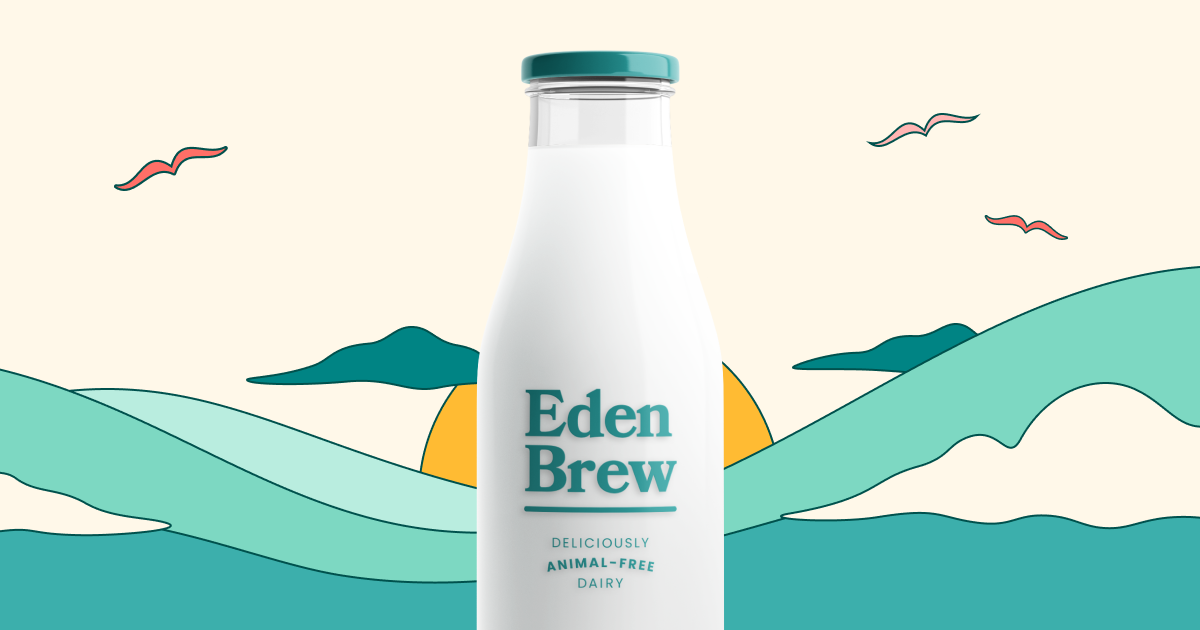 Eden Brew scoops $6.9m to help launch cowless ice cream - Future ...