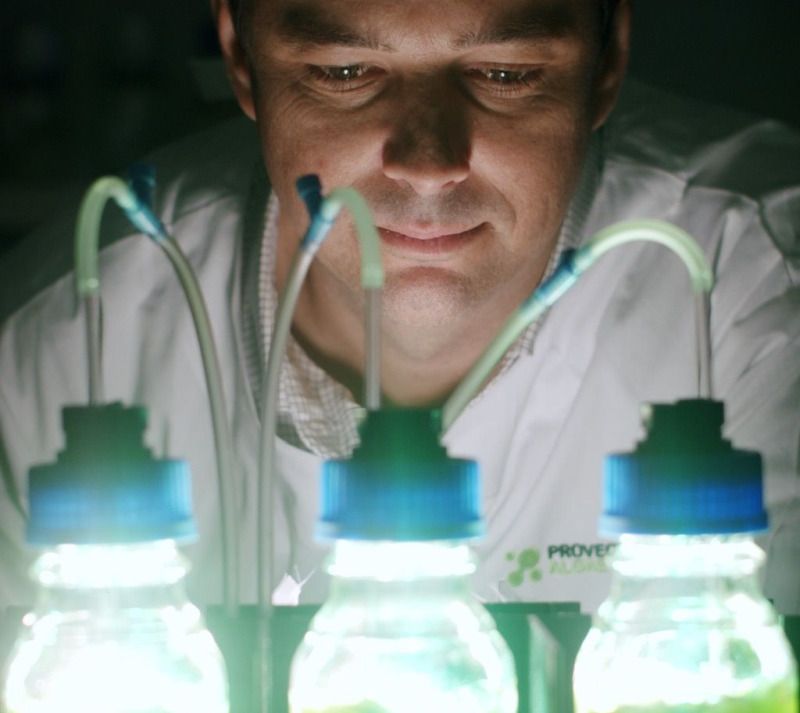 Provectus Algae joins red algae methane reduction market - Future Alternative